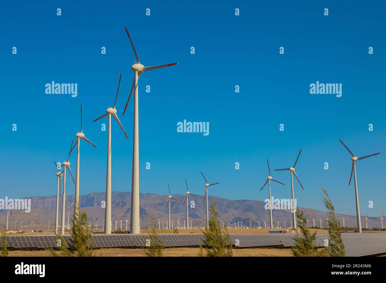 Wind turbines harness wind's kinetic force, propelling blades with ...