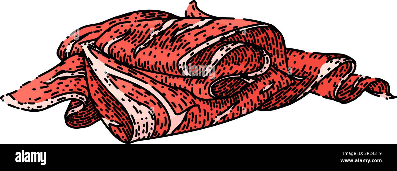 spanish ham meat sketch hand drawn vector Stock Vector Image & Art - Alamy