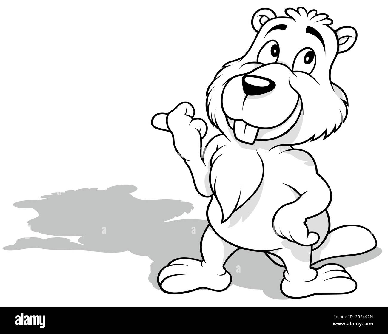 Drawing of a Beaver Pointing to the Right Stock Vector Image & Art - Alamy