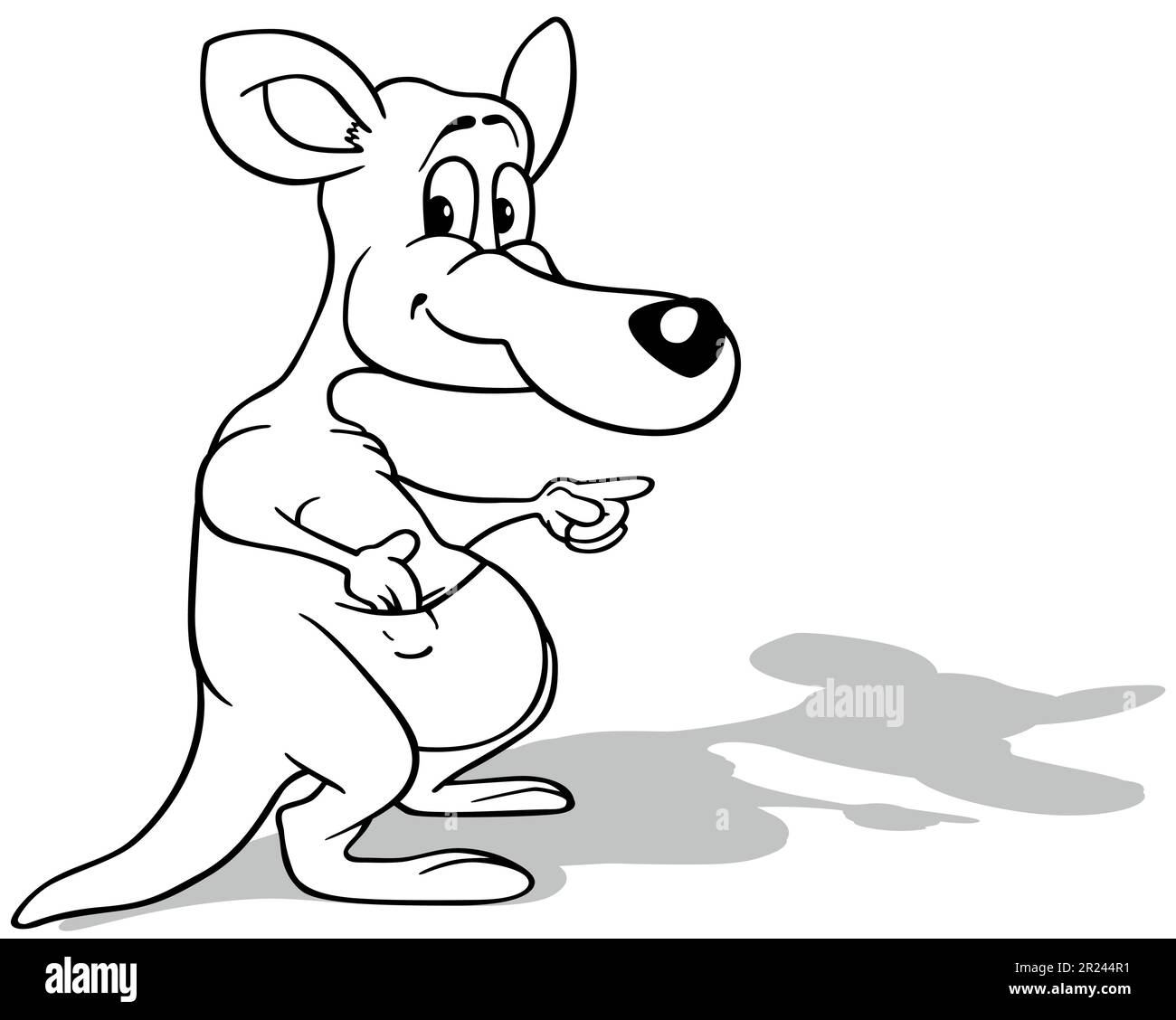 Drawing of a Kangaroo with a Big Pocket Stock Vector Image & Art - Alamy