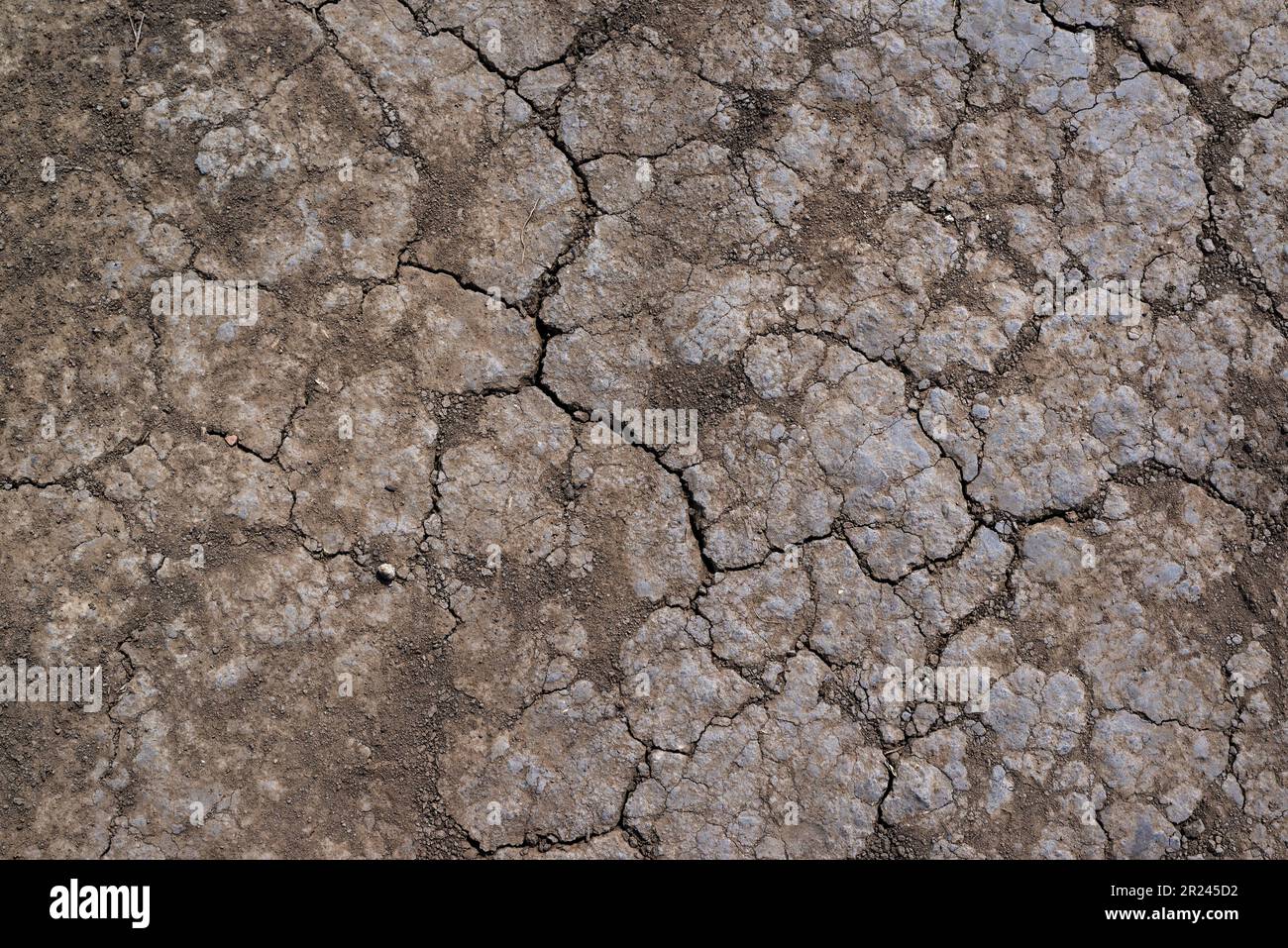 Mud cracks in dry earth texture, arable soil during dry season in ...