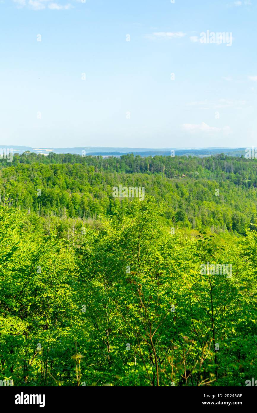 First steps along the Rennsteig between Hörschel and Blankenstein in ...
