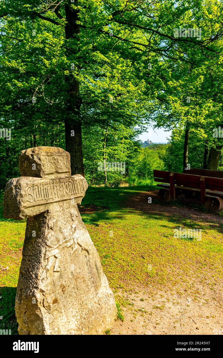 First steps along the Rennsteig between Hörschel and Blankenstein in ...