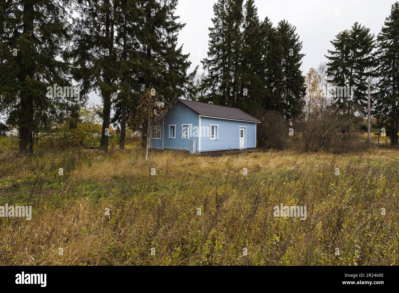 Small cozy blue house in the forest under tree Stock Photo - Alamy