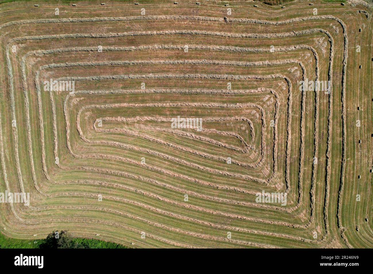 Raked hay hi-res stock photography and images - Alamy