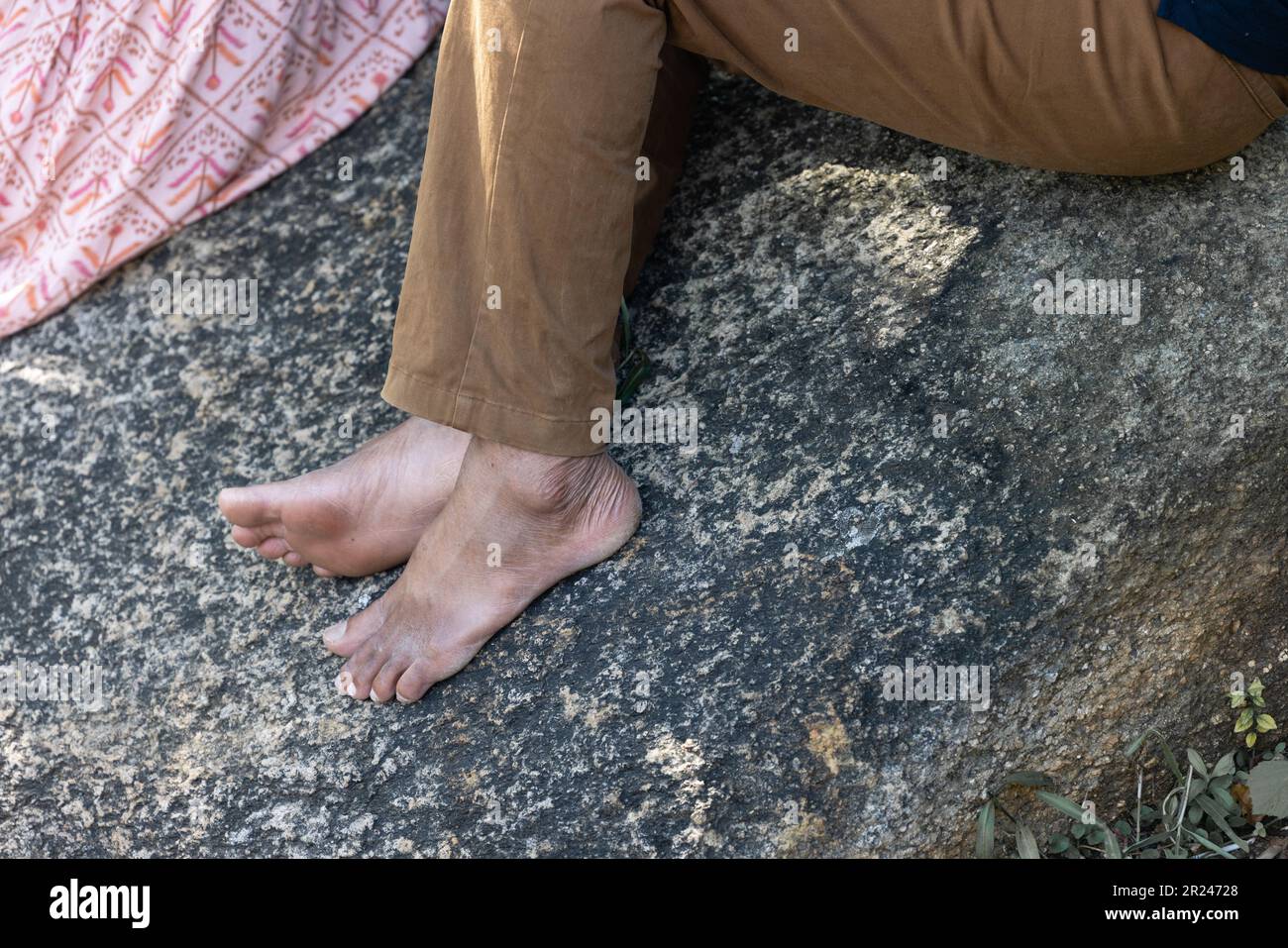 Dirty fly insect,Bacteria and smelly feet concept. Fly insect is on the ...