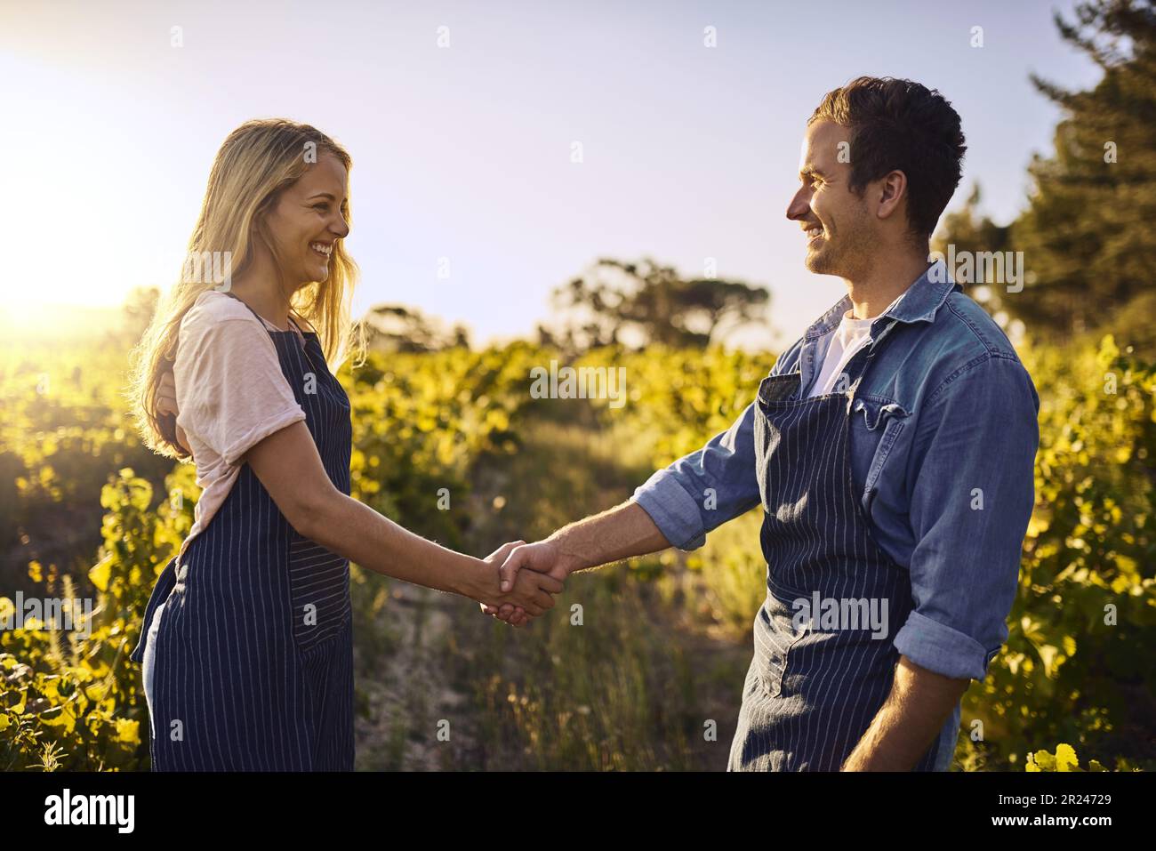 Farmer b2b, team handshake and partnership for sustainability deal in ...