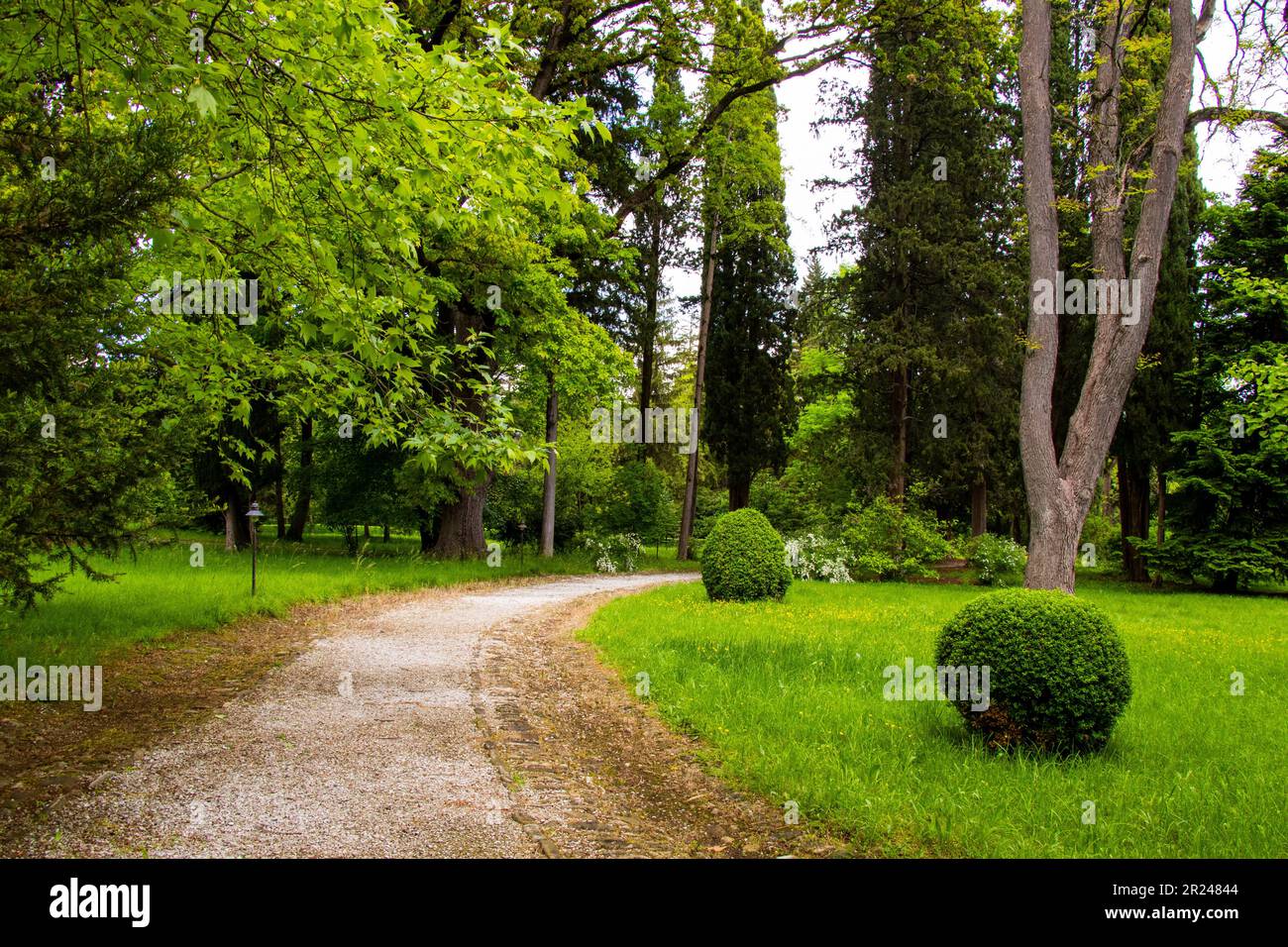 Tranquil pathway winds hi-res stock photography and images - Alamy