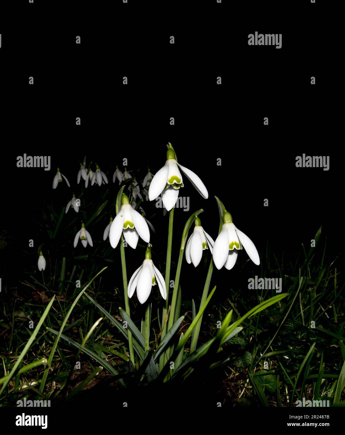 Flashlit hi-res stock photography and images - Alamy