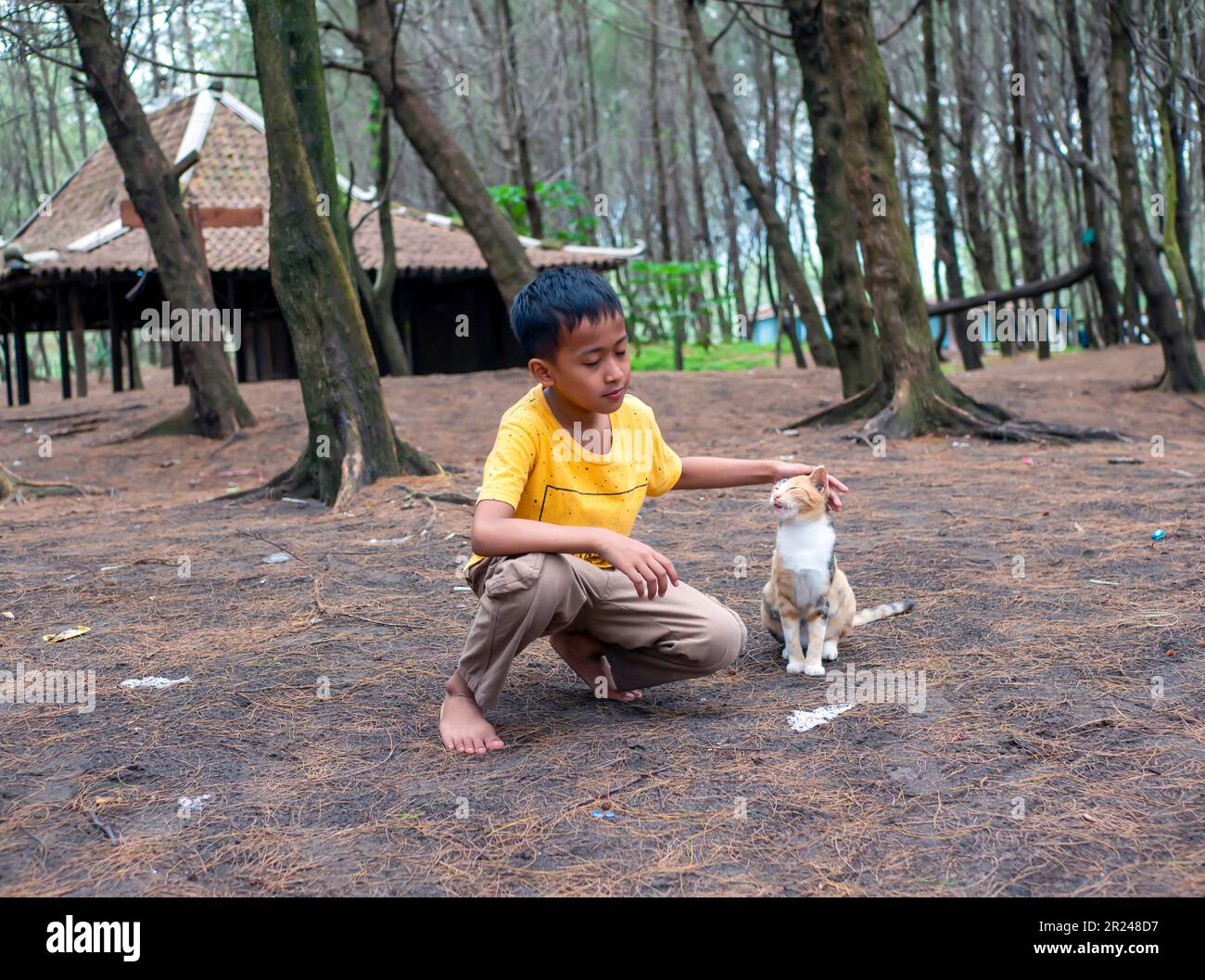 Happy friendship. An Indonesian kid playing with a cute cat in Pantai ...