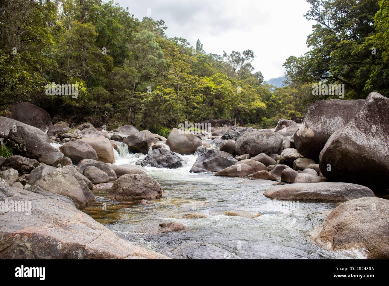 Rocky river in forest hi-res stock photography and images - Alamy