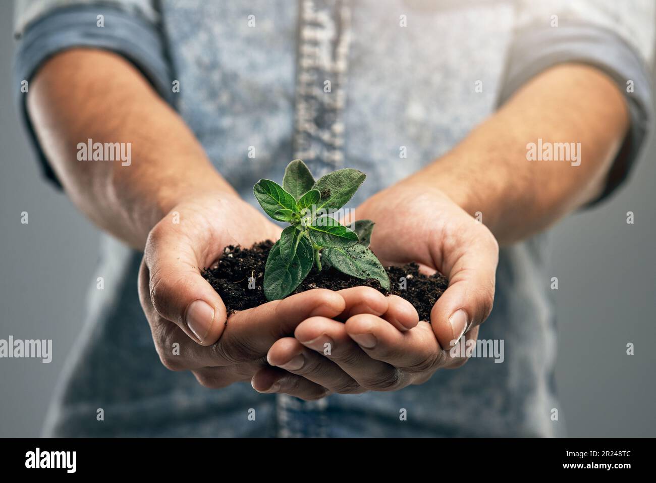 Growth, plant and soil with hands of man for sustainability, future and ...