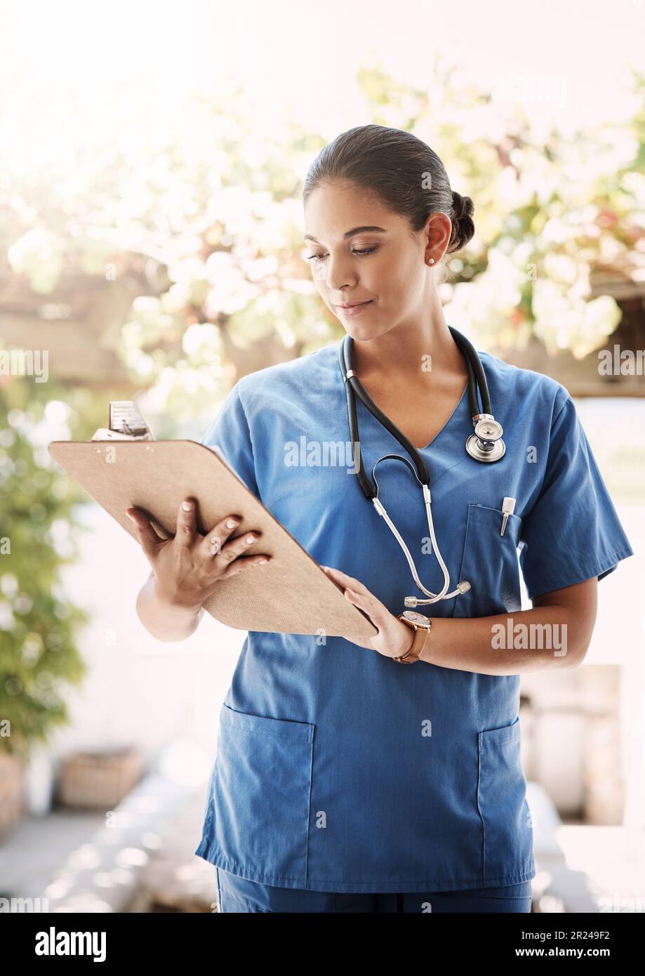 Woman doctor, clipboard and check documents for medical service ...