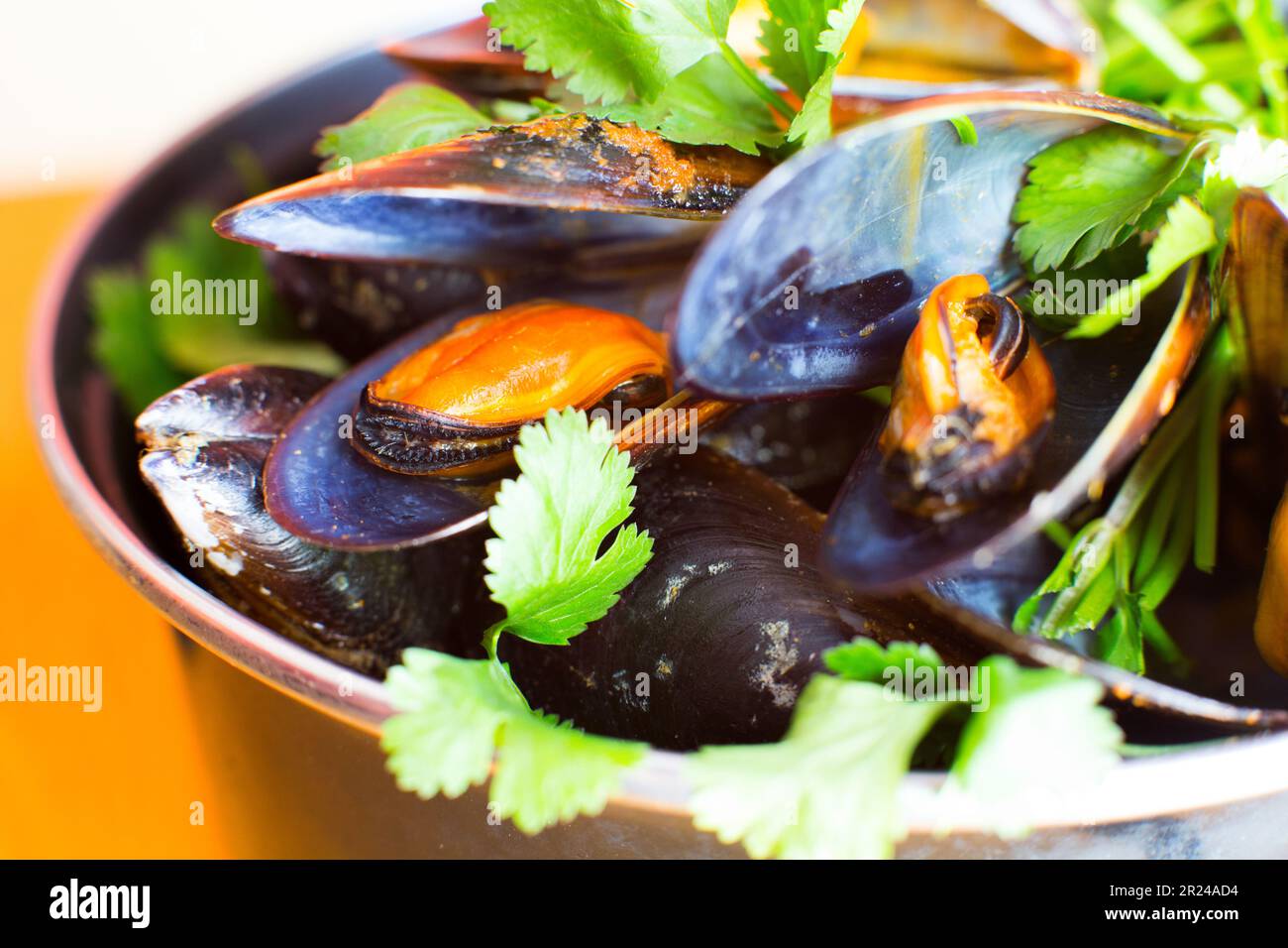Steamed mussels with vegetables and sauce. Traditional Spanish tapa ...