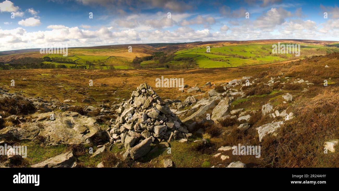 Howl Moor from Simon Howe Cairn with Bumble Wood in the distance ...