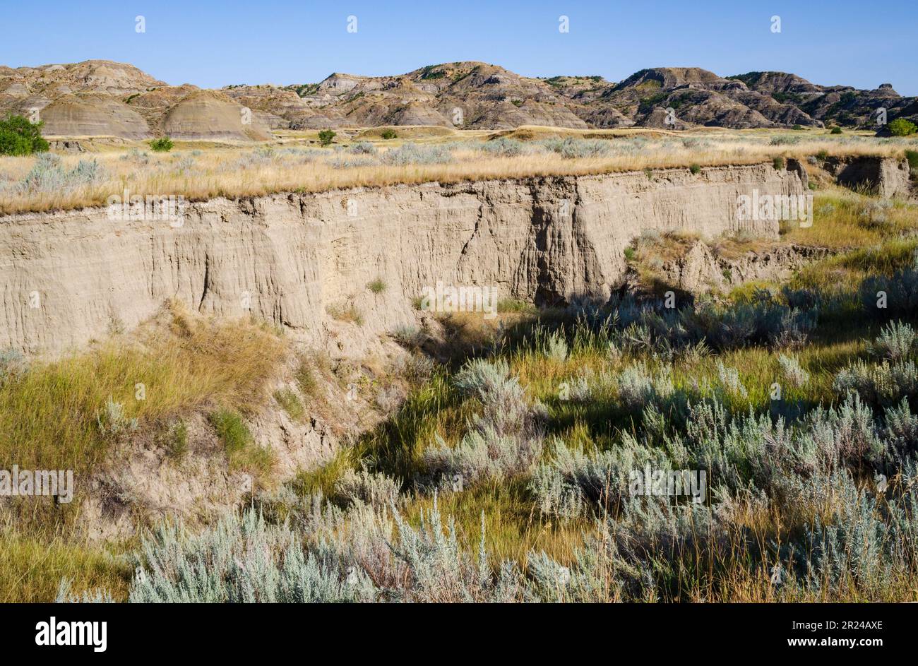 Makoshika State Park, Montana's Largest State Park Stock Photo - Alamy