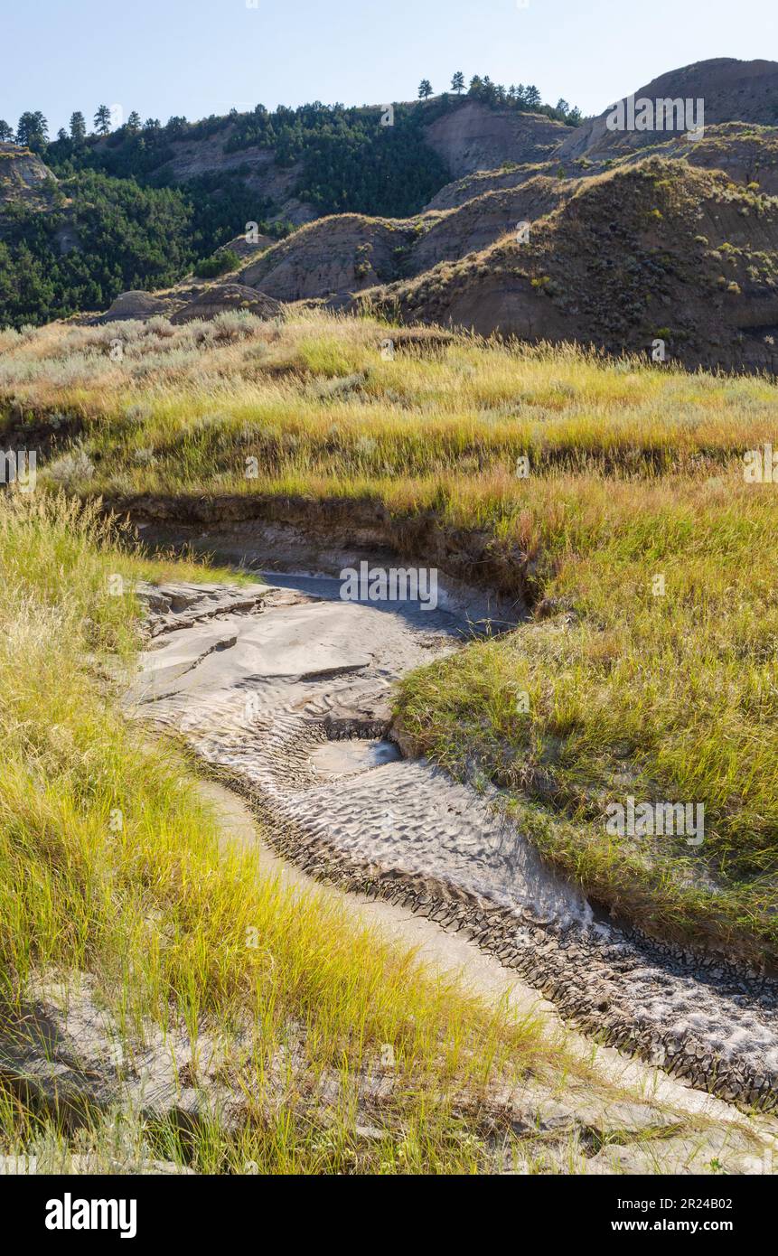 Makoshika State Park, Montana's Largest State Park Stock Photo - Alamy