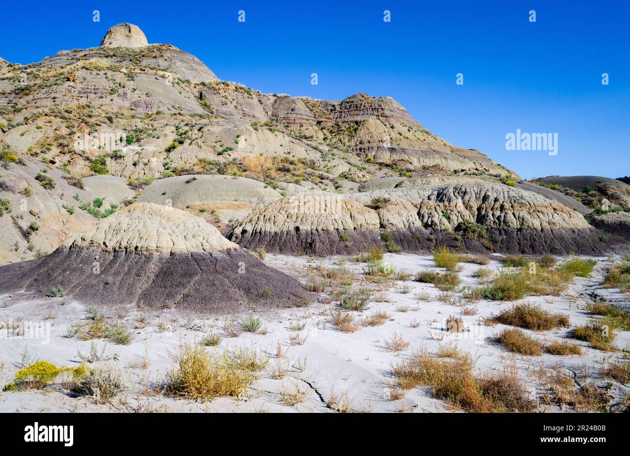Makoshika State Park, Montana's Largest State Park Stock Photo - Alamy