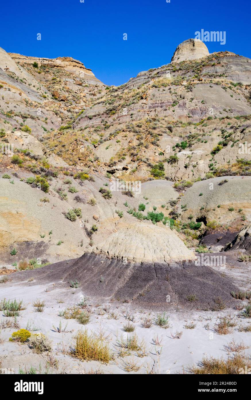 Makoshika State Park, Montana's Largest State Park Stock Photo - Alamy
