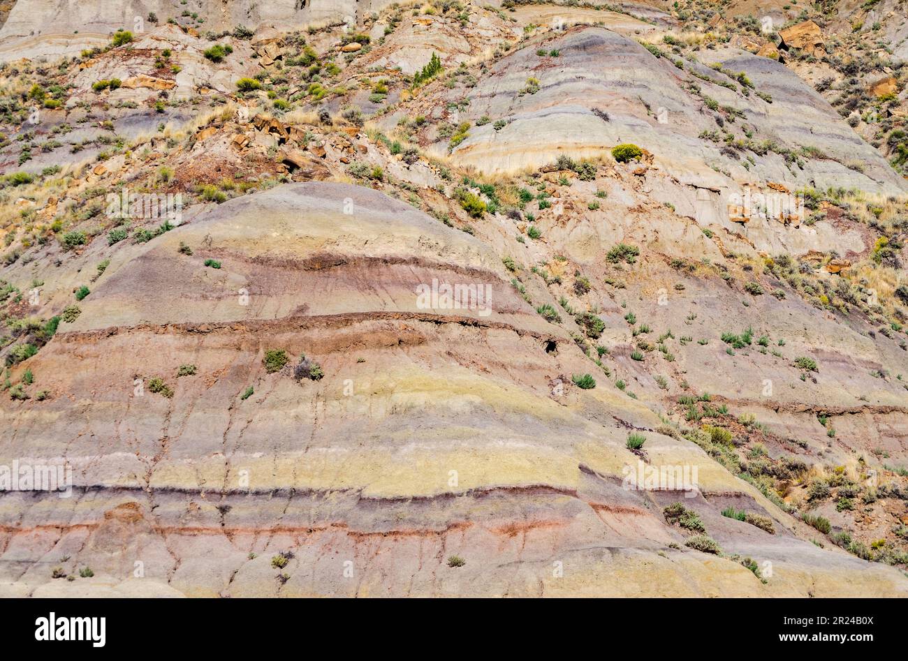 Makoshika State Park, Montana's Largest State Park Stock Photo - Alamy