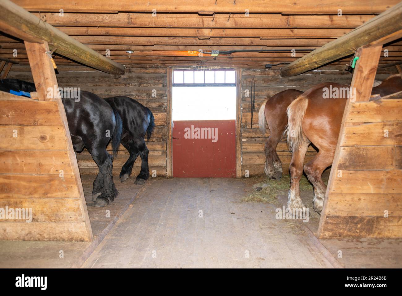 Grant-Kohrs Ranch National Historic Site in Montana Stock Photo - Alamy