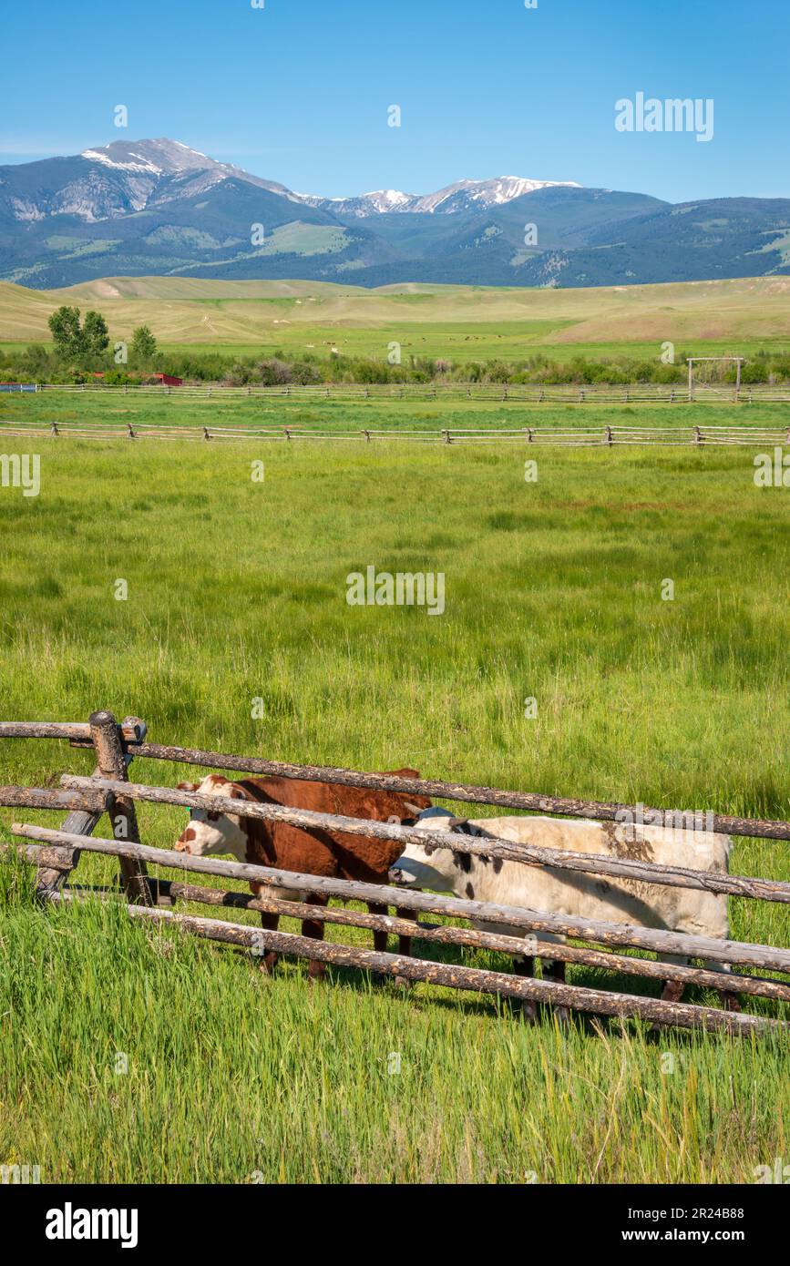 Grant-Kohrs Ranch National Historic Site in Montana Stock Photo - Alamy