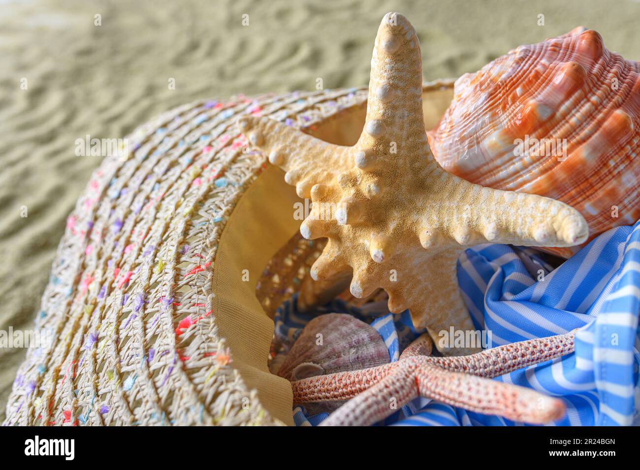 Hat with swimsuit and seashells Stock Photo - Alamy