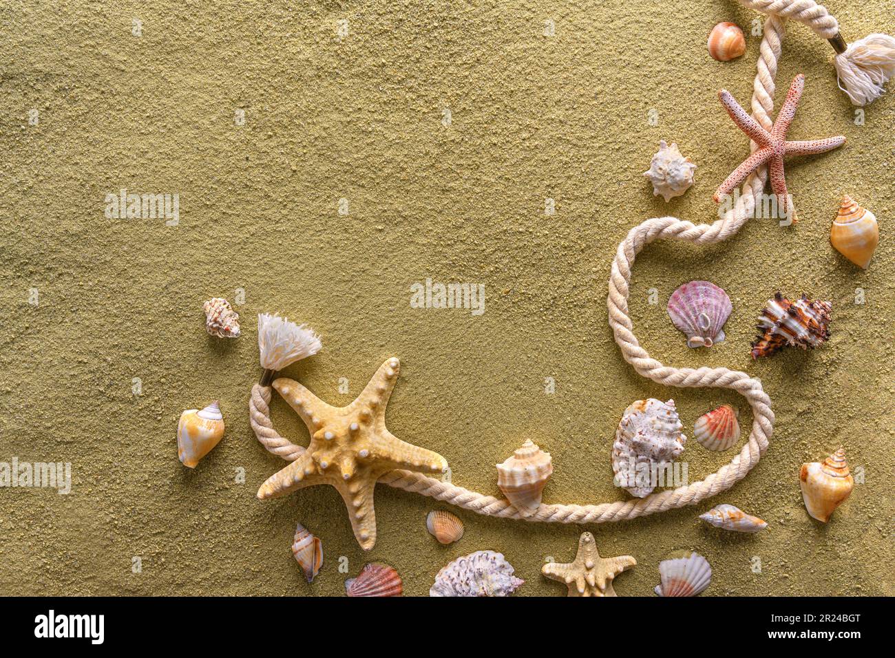 Shells procedure hi-res stock photography and images - Alamy