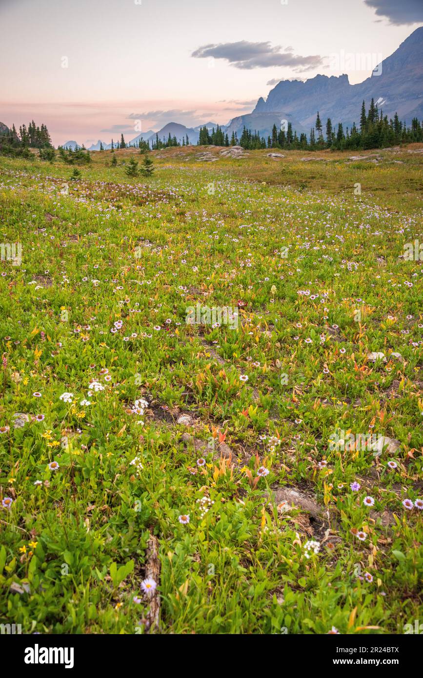 Waterton glacier international peace park and world heritage site hi ...