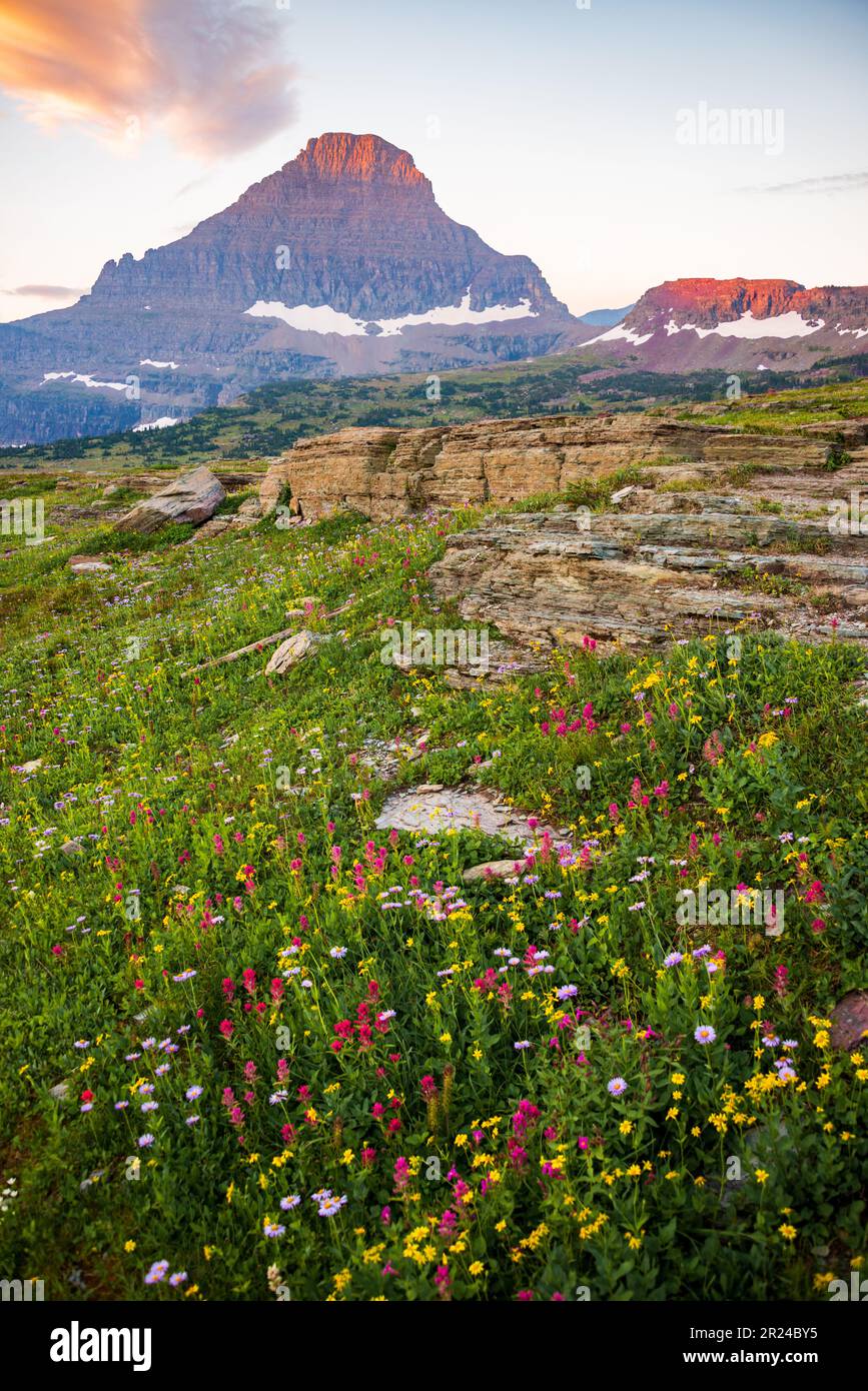 Hidden Lake Overlook, Glacier National Park in Montana Stock Photo - Alamy