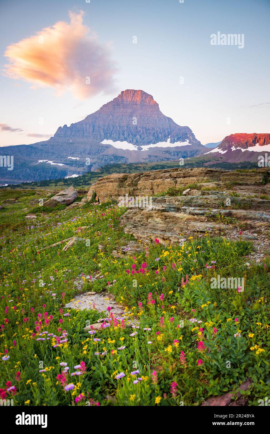 Hidden Lake Overlook, Glacier National Park in Montana Stock Photo - Alamy