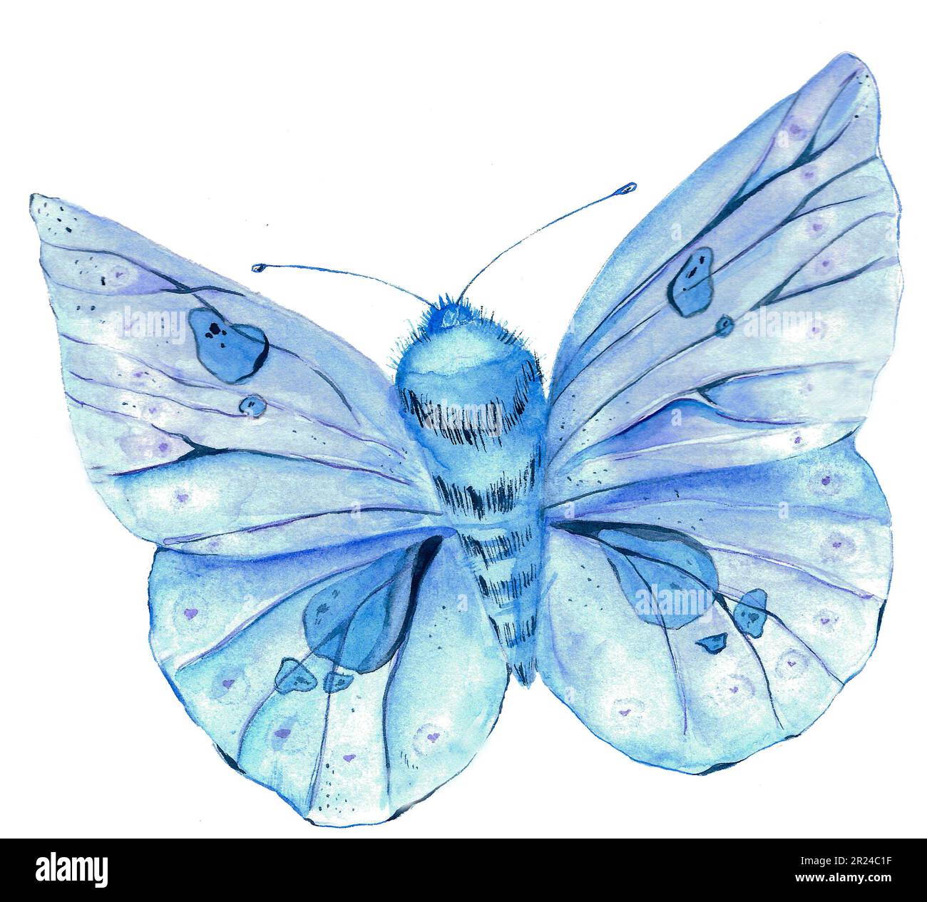 a set of watercolor illustrations. blue butterflies, lotus flowers ...