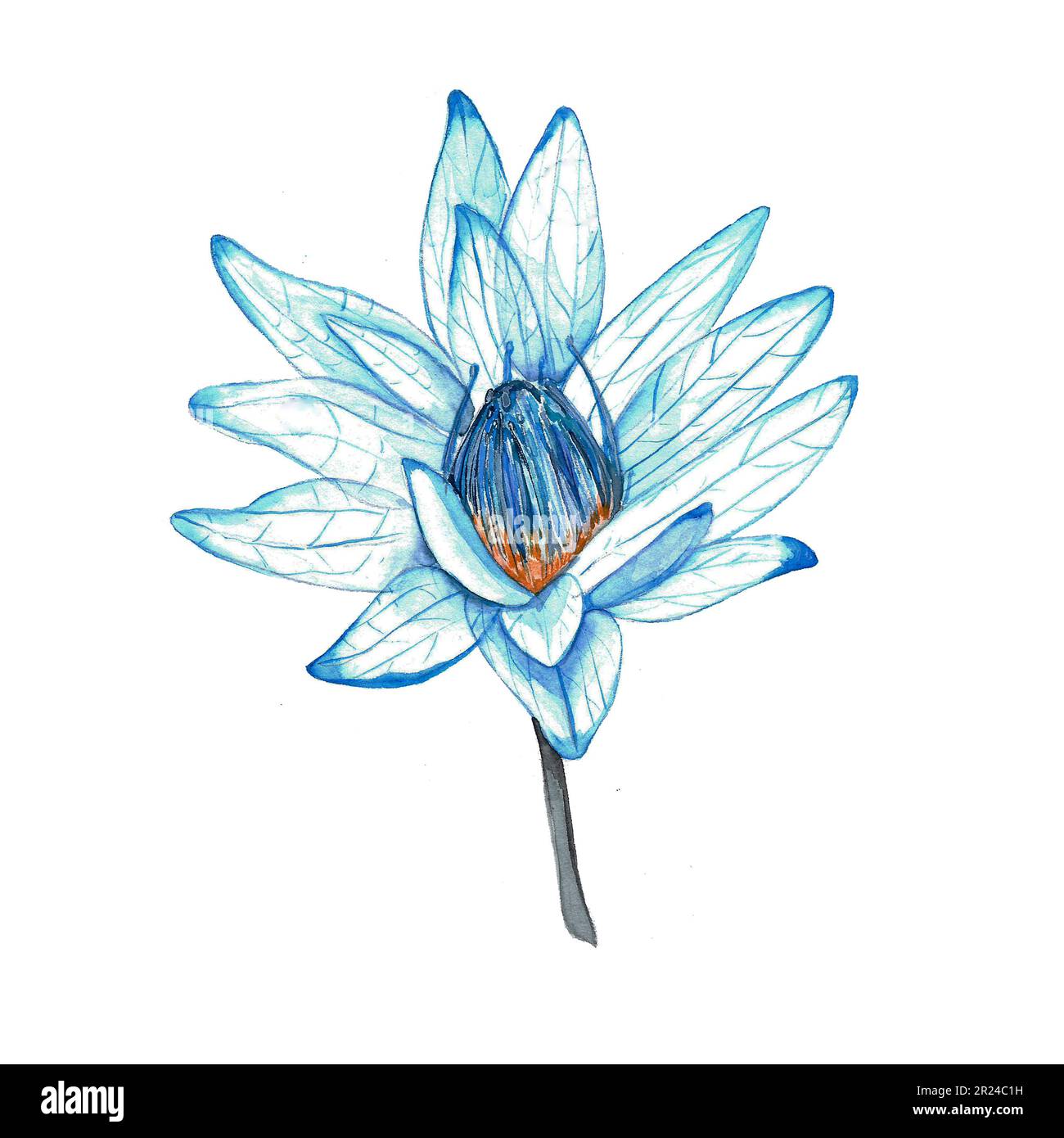 a set of watercolor illustrations. blue butterflies, lotus flowers ...