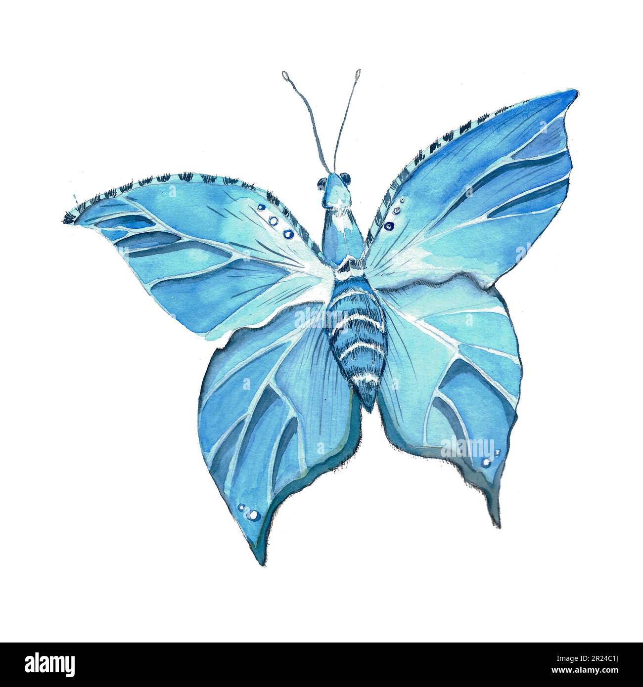 a set of watercolor illustrations. blue butterflies, lotus flowers ...