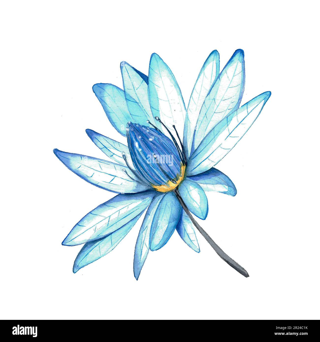 a set of watercolor illustrations. blue butterflies, lotus flowers ...