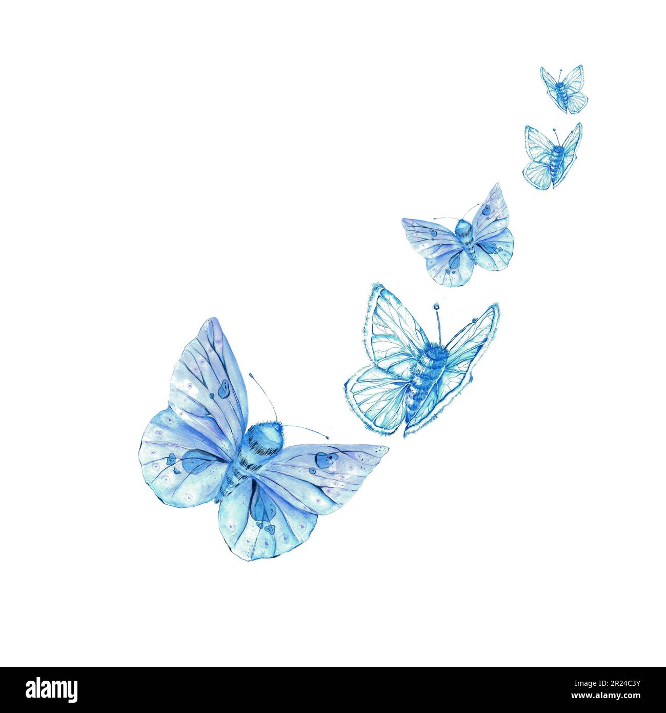 a set of watercolor illustrations. blue butterflies, lotus flowers ...