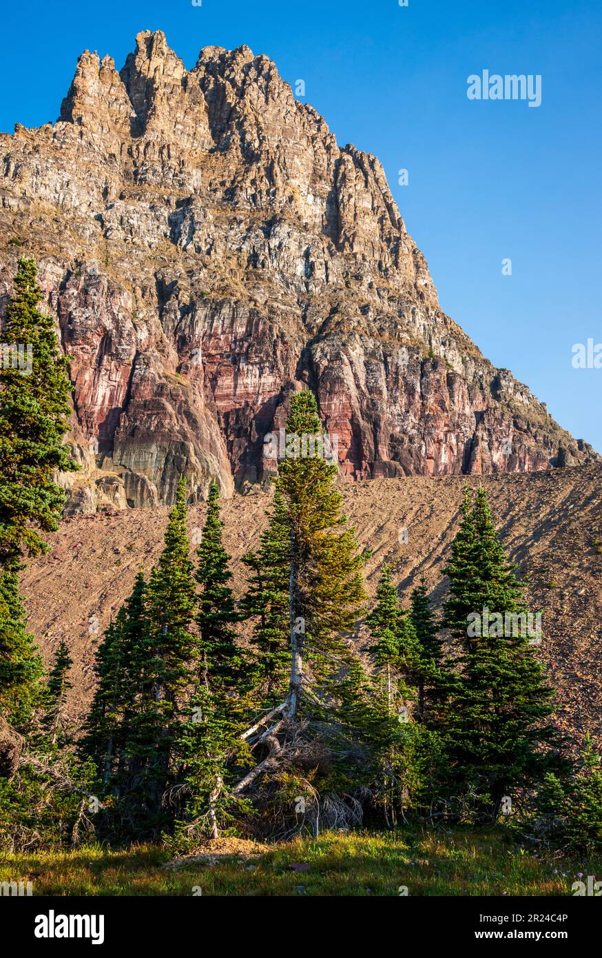 Hidden Lake Overlook, Glacier National Park in Montana Stock Photo - Alamy