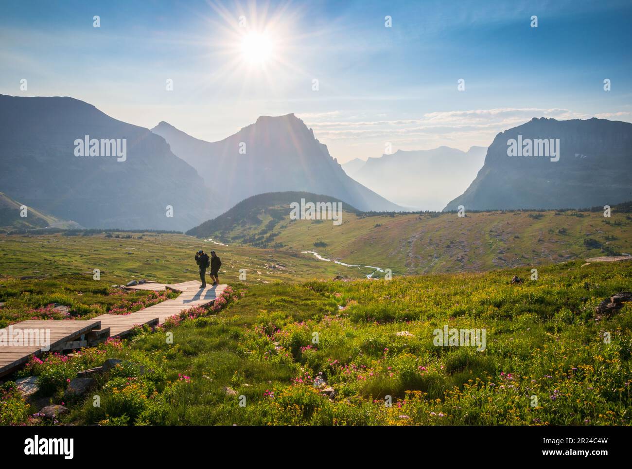 Hidden Lake Overlook, Glacier National Park in Montana Stock Photo - Alamy