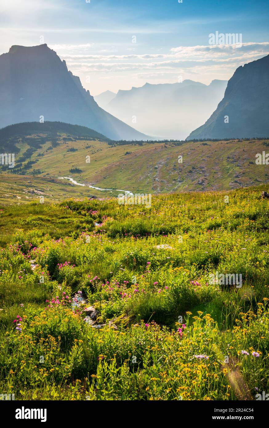Hidden Lake Overlook, Glacier National Park in Montana Stock Photo - Alamy