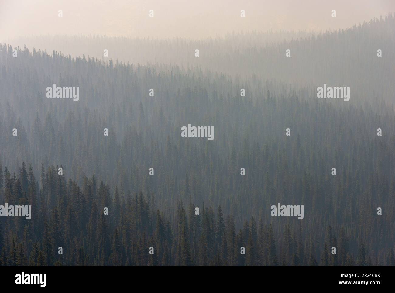 Roadside Overlook Along Road to the Sun in Glacier National Park ...