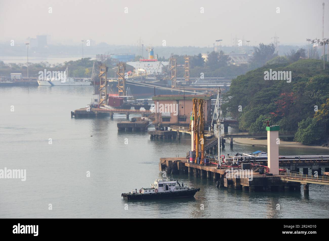 A fleet of sailboats docked in a harbor in India Stock Photo - Alamy