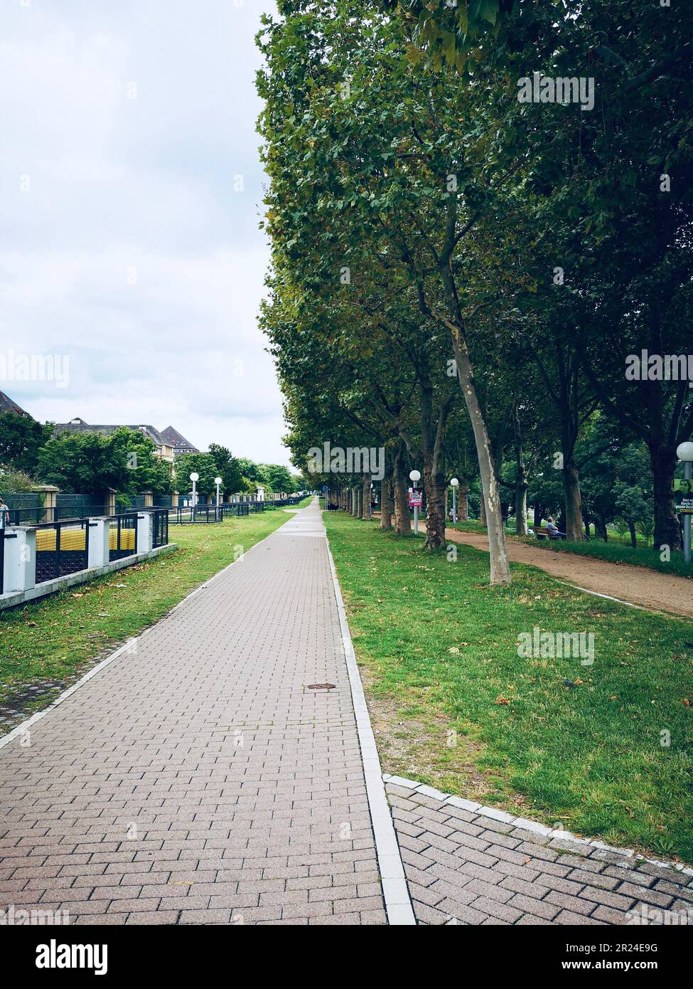 A picturesque brick pathway with lush greenery and trees in a park ...