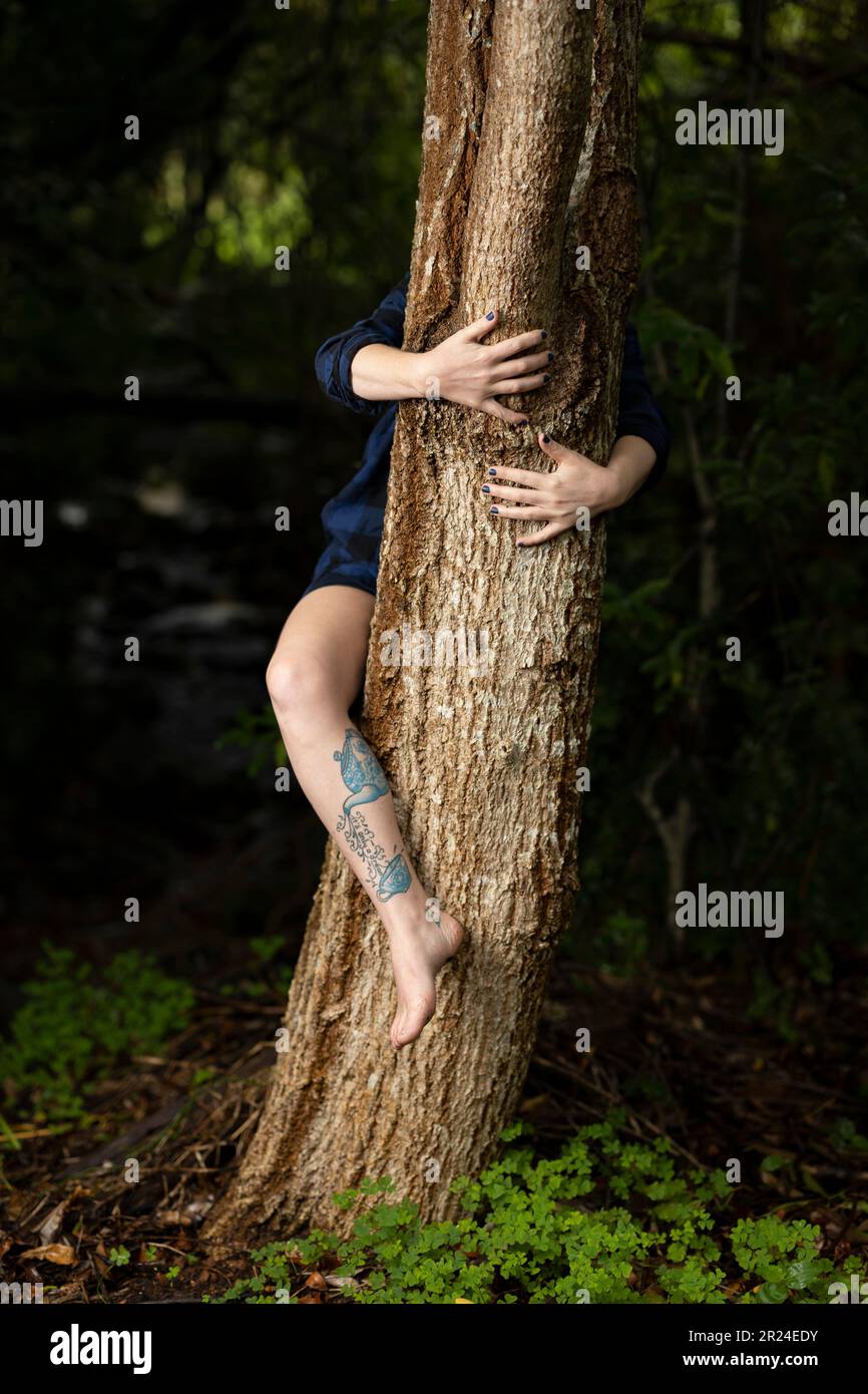 Tree Arm