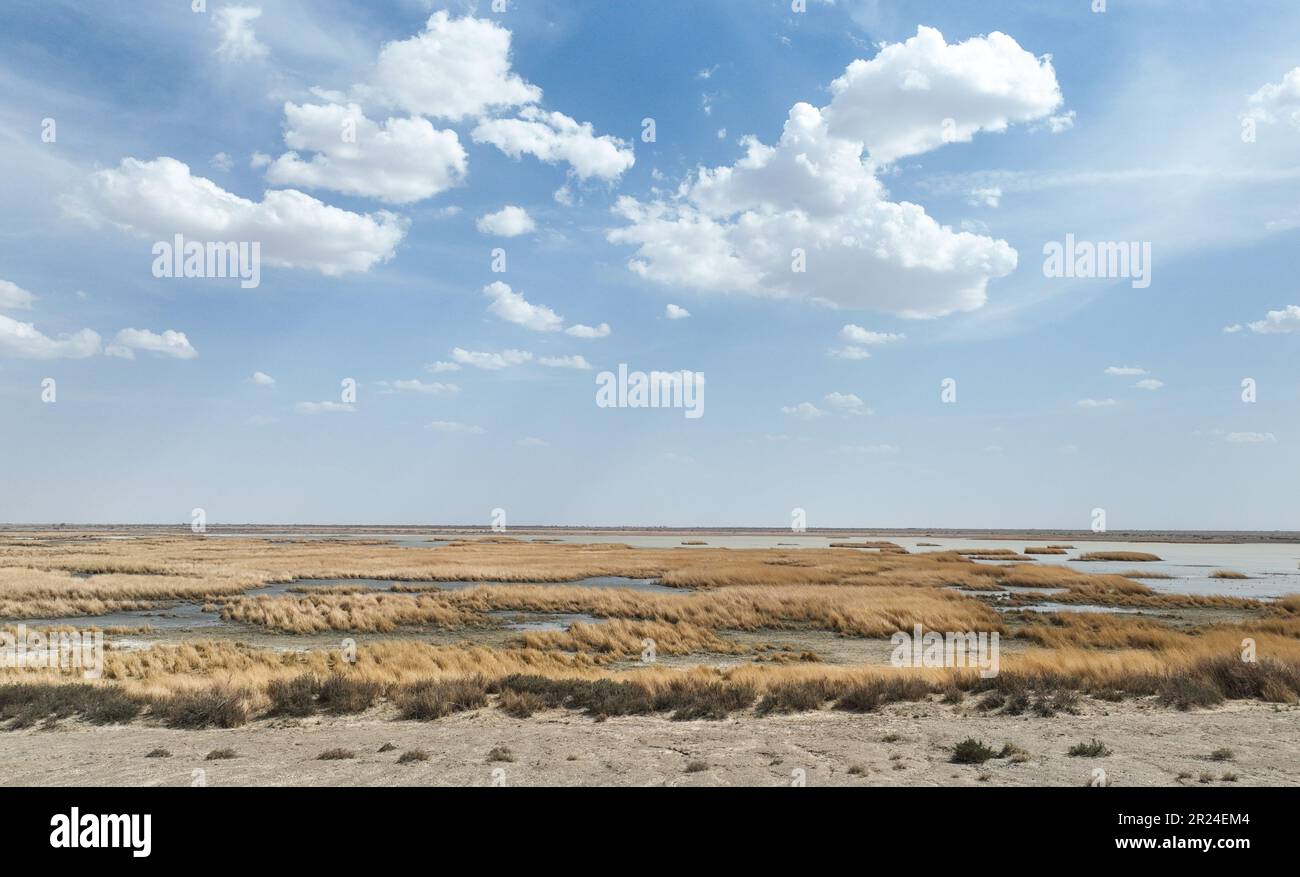 Alxa. 15th May, 2023. This aerial photo taken on May 15, 2023 shows a ...