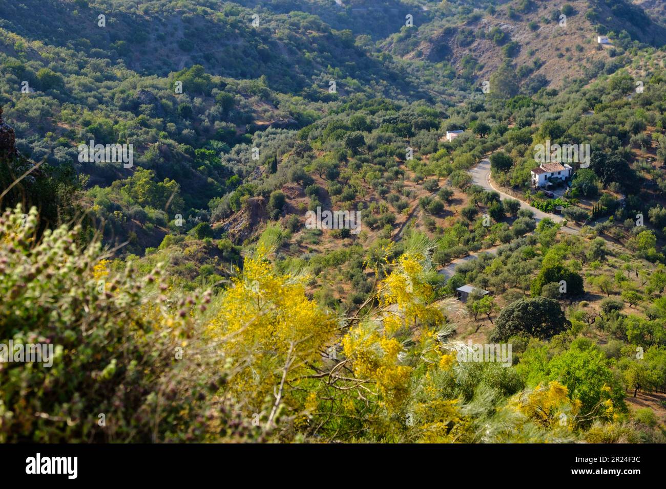 A traditional farmhouse in the countryside below Comares, Axarquia ...
