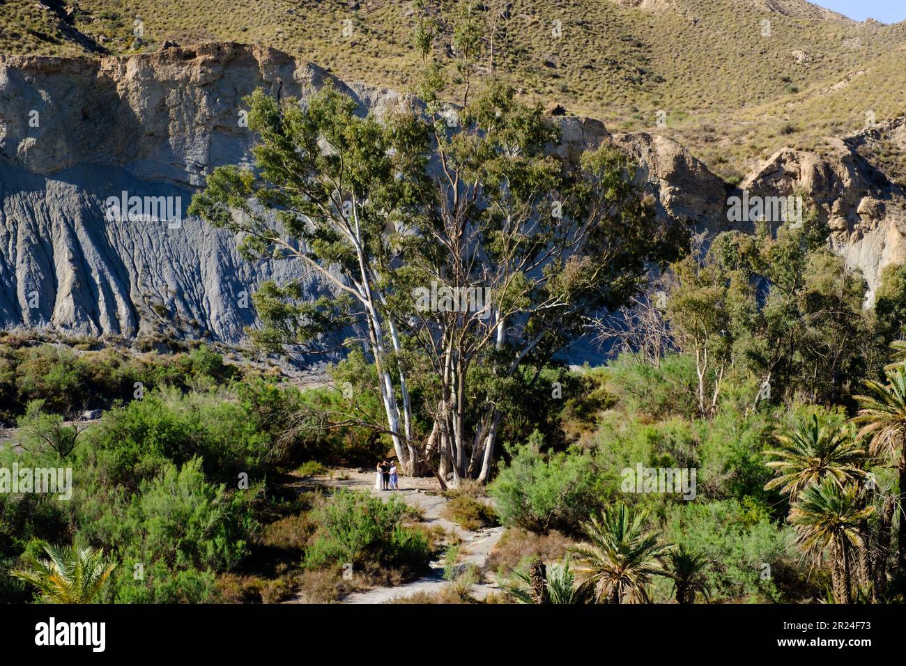 Location of Lawrence of Arabia oasis scene in Tabernas desert ...