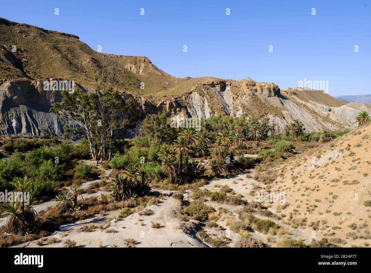 Location of Lawrence of Arabia oasis scene in Tabernas desert ...