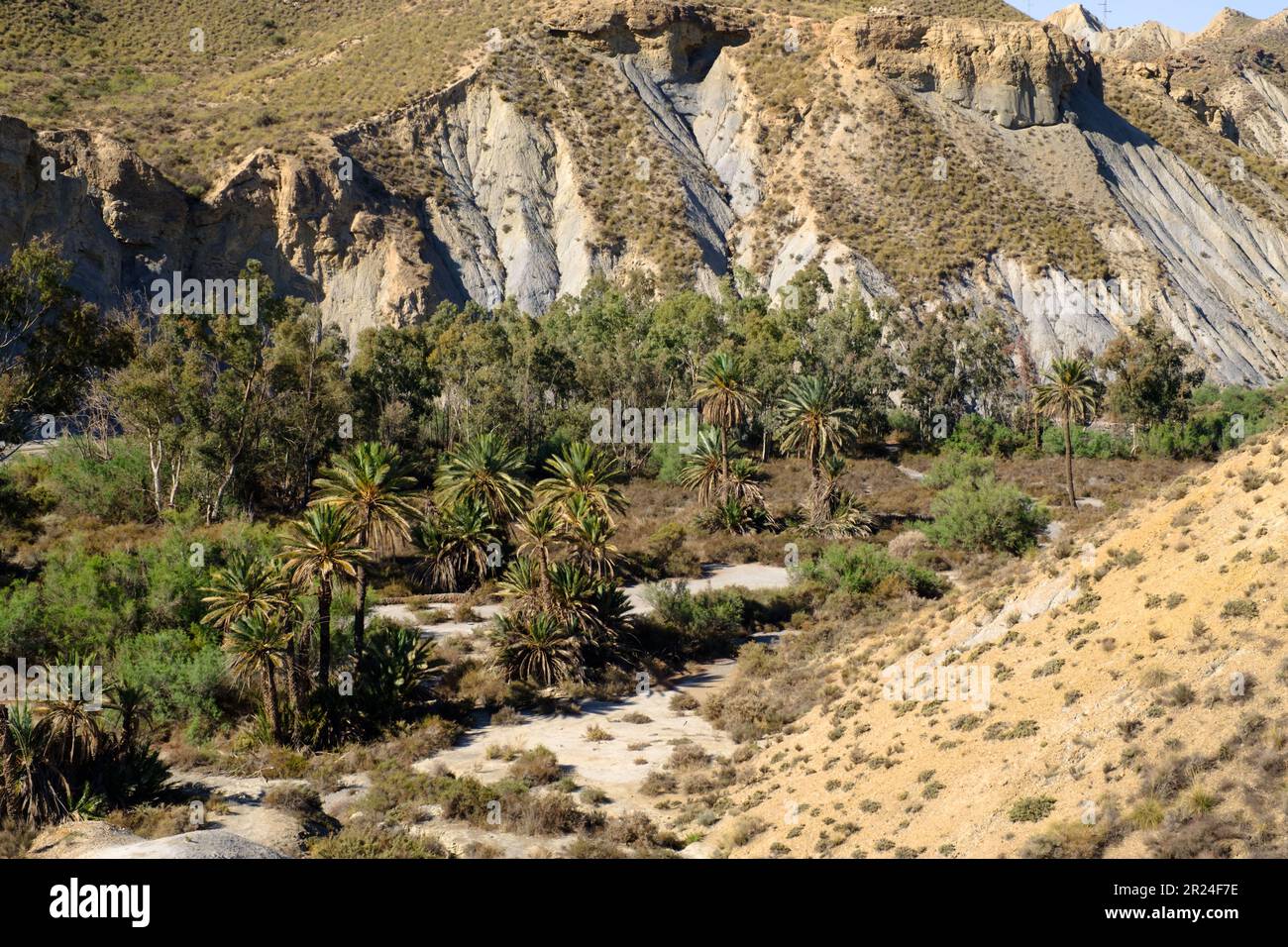 Location of Lawrence of Arabia oasis scene in Tabernas desert ...
