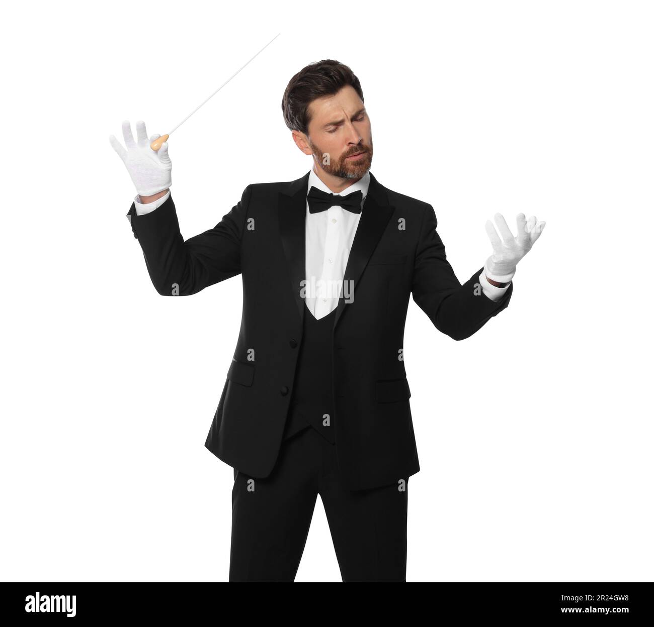 Professional conductor with baton on white background Stock Photo - Alamy