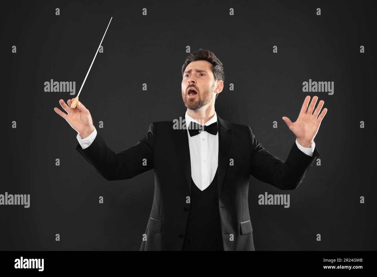 Professional conductor with baton on black background Stock Photo - Alamy